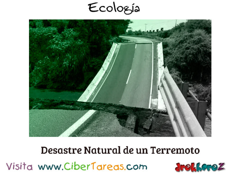 Desastre Ambiental en la Educación Ambiental – Ecología | CiberTareas Desastre Ambiental en la Educación Ambiental – Ecología | CiberTareas